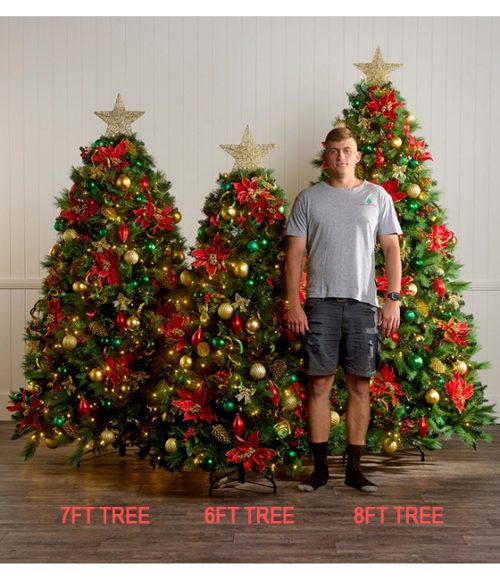 Buy Alaska's Pine Tree - 8 foot Online in Australia - The Christmas ...