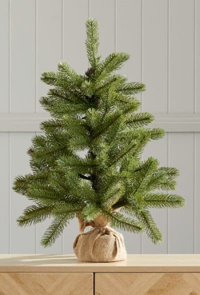 2 Foot Christmas Tree - The Christmas Tree Company