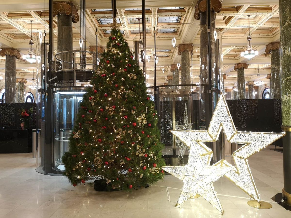 Gallery - The Christmas Tree Company