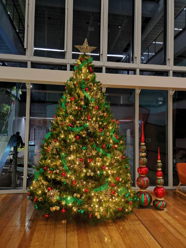 Gallery - The Christmas Tree Company