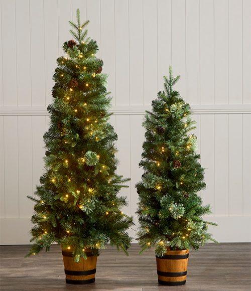 Pre-Lit Potted Tree - Green - 5 foot - The Christmas Tree Company