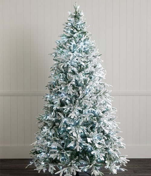 Buy 9ft (2.7m) Christmas Trees Online in Australia - The Christmas Tree ...